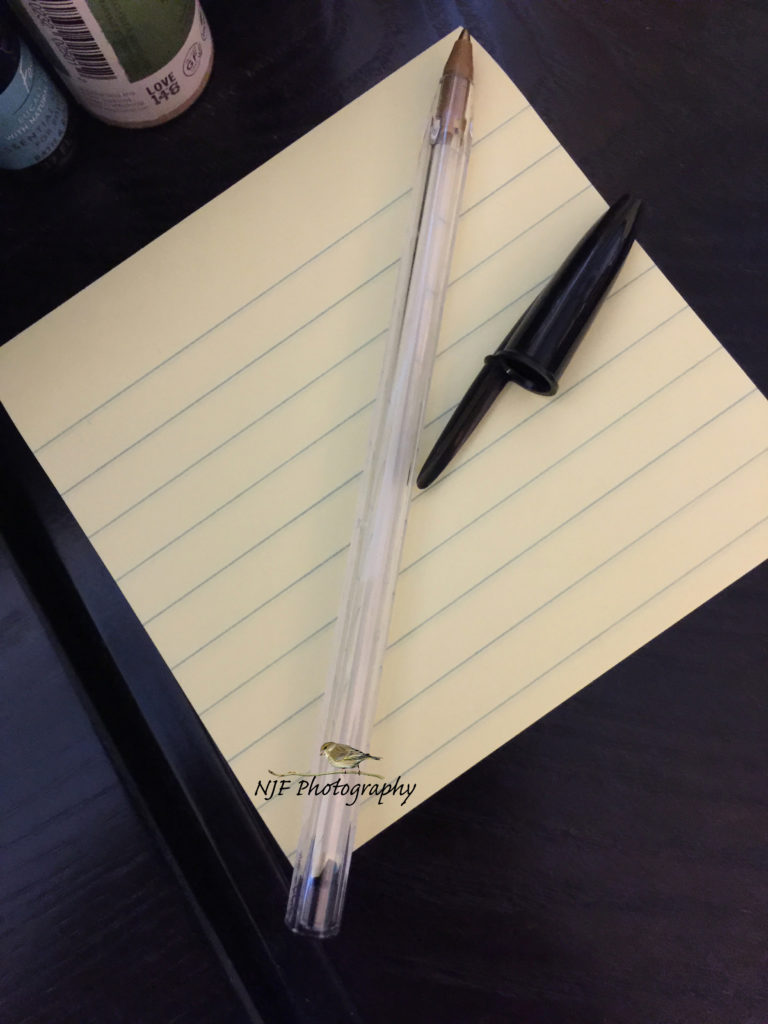 Work in Progress: The Empty Pen – In so many words